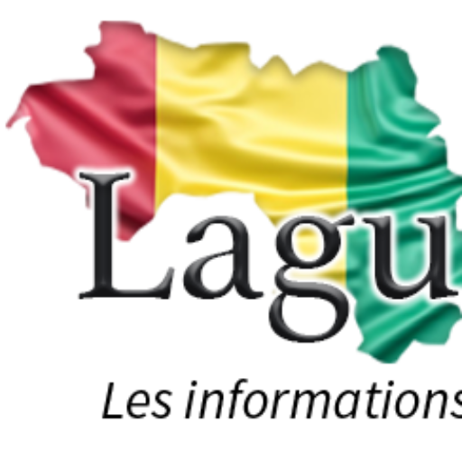 Réforme électorale : Joachim Baba Millimouno démonte la « critique ...